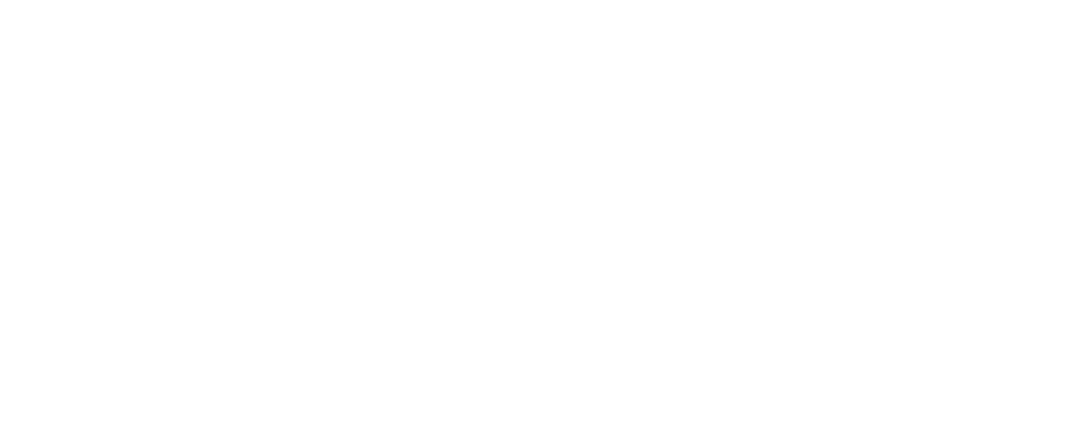 Brave Group – Brave Group