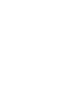 Brave Group – Brave Group